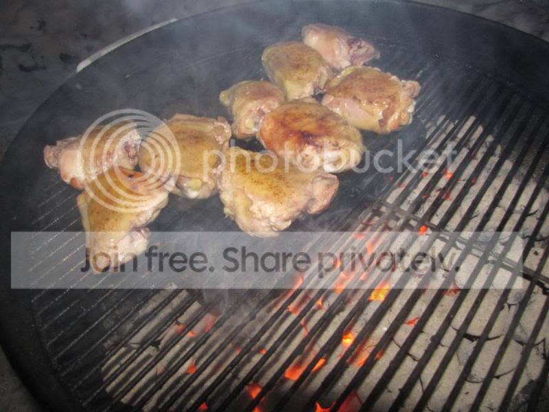 Chicken is not my friend... (Pron) | THE BBQ BRETHREN FORUMS