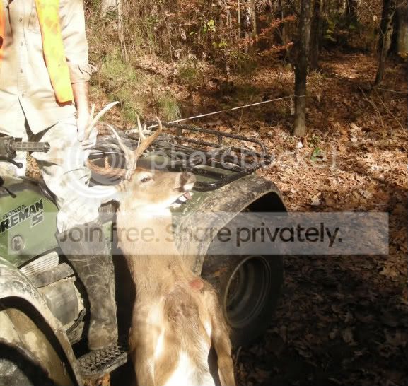 How to load a deer by yourself | Archery Talk Forum
